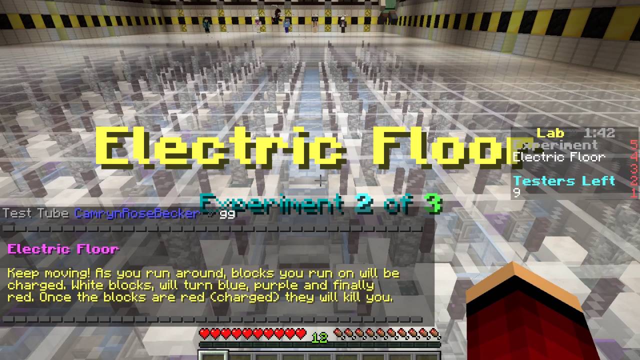 I Love This Music! | Minecraft The Lab Mini Game #1 - YouTube