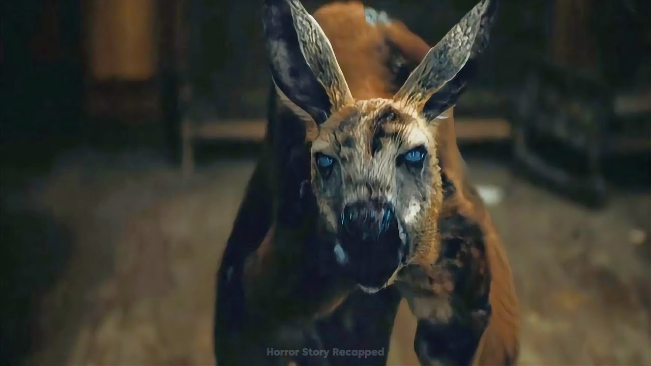 Infected by a Mysterious Zombie Virus, Kangaroos Go Wild and Attack ...