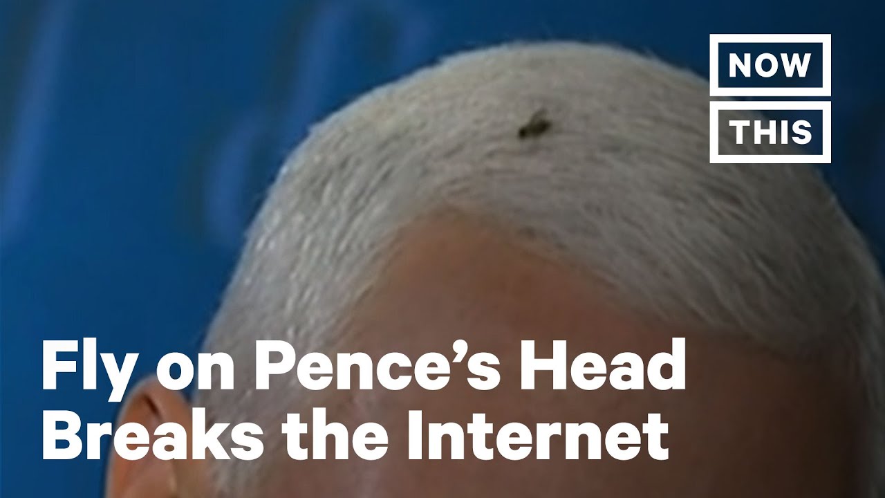 Internet Reacts to Fly on Mike Pence's Head | NowThis - YouTube