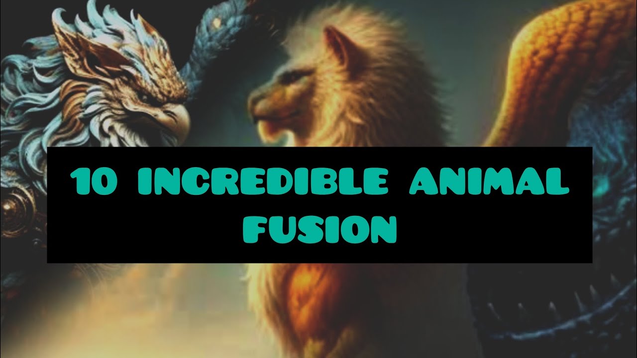 10 Incredible Animal Fusion || UNIQUE COLLECTION OF TOP 10 - YouTube