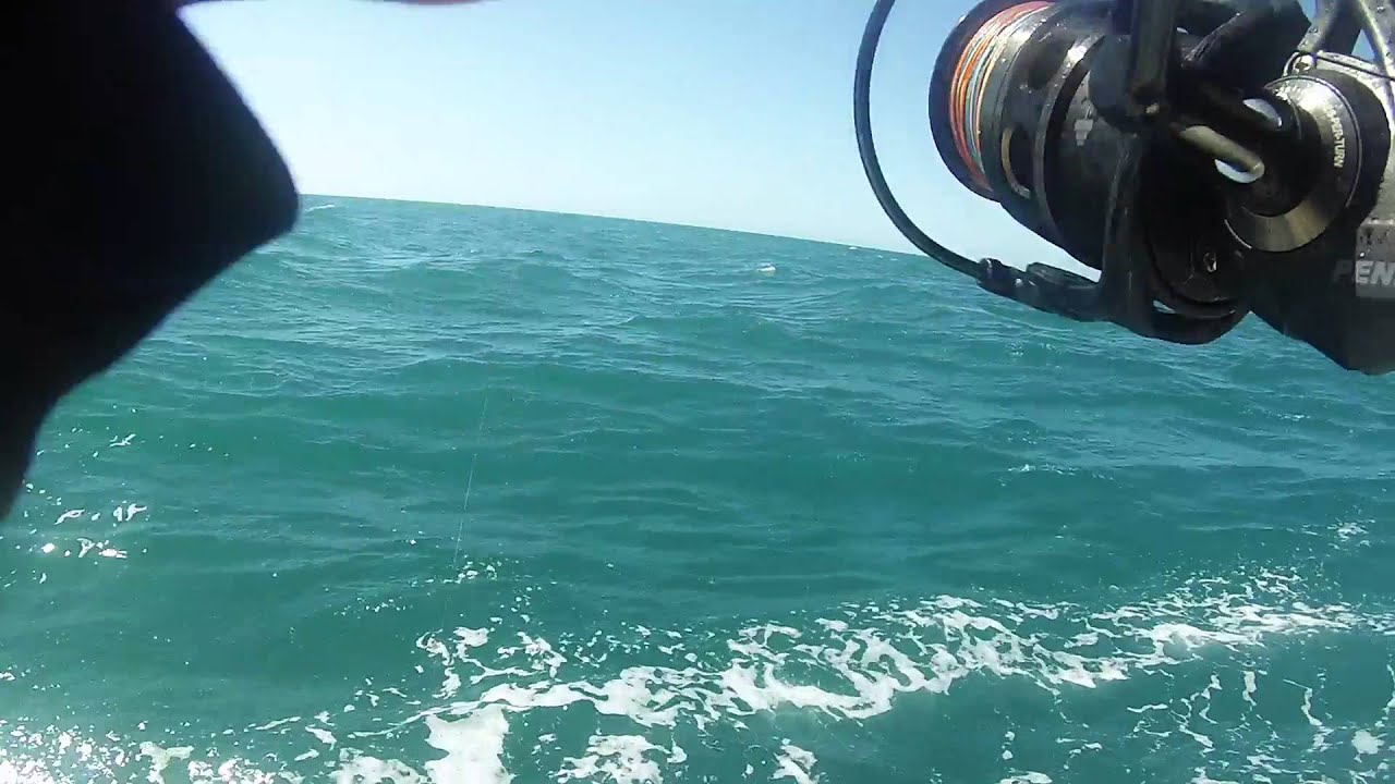 Red snapper on vertical jigging / Huachinango a Jiggin Vertical - YouTube