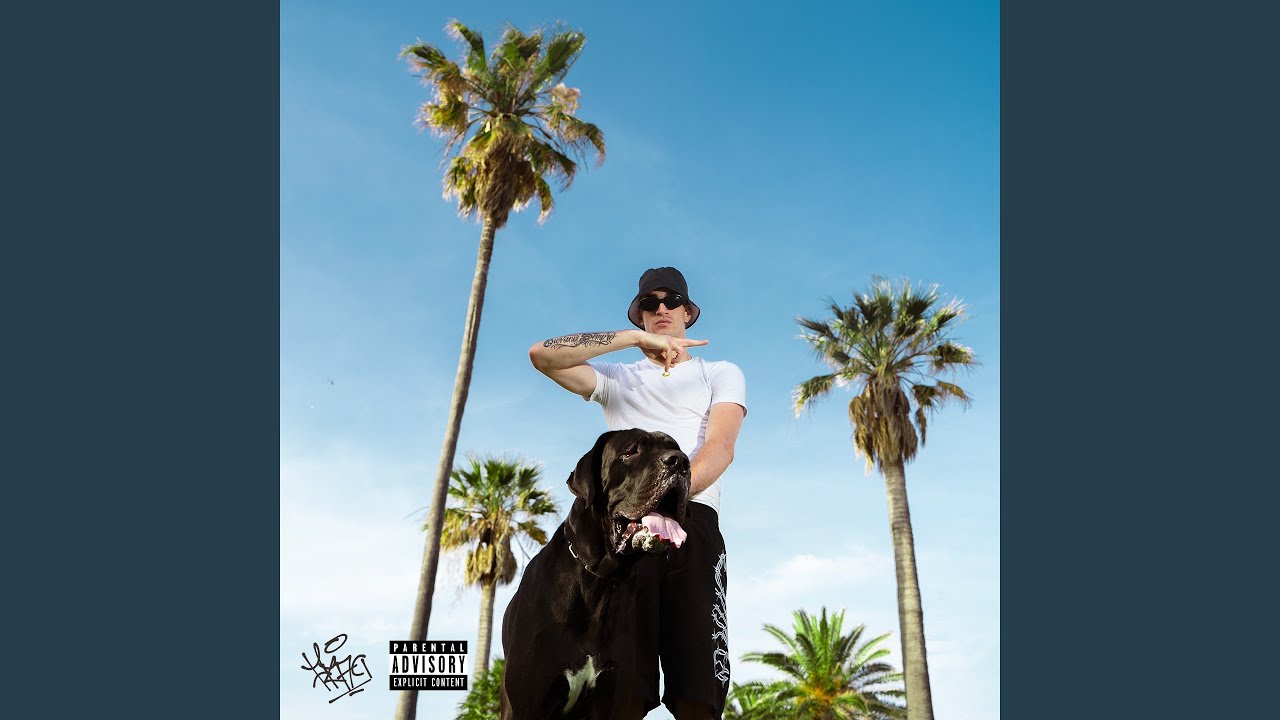 Dogs - YouTube Music