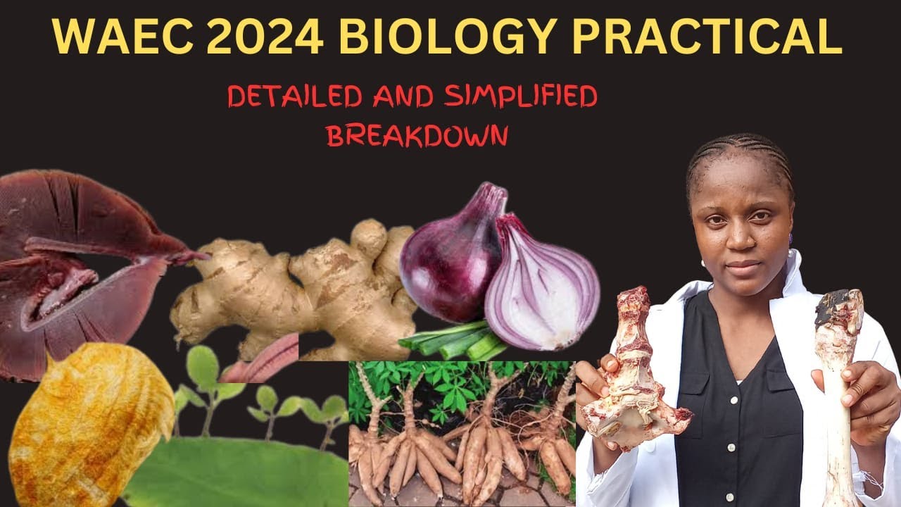 WAEC BIOLOGY PRACTICAL 2024 - YouTube