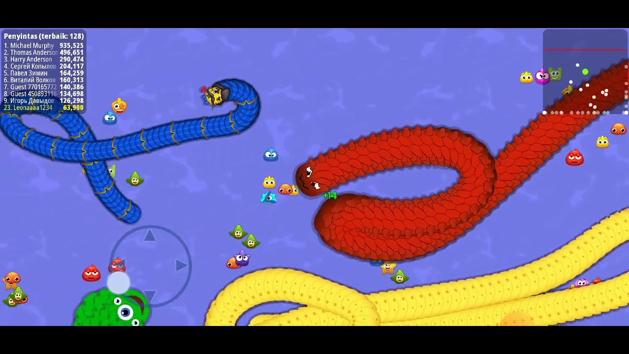 CACING BESAR ALASKA 1000 SUBSCRIBE [] WORM HUNT - YouTube
