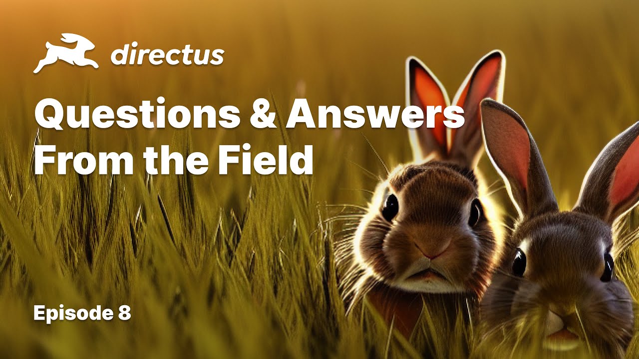 From The Field Directus Show And Tell Roles And Permissions Cron Insights Panel Bulk