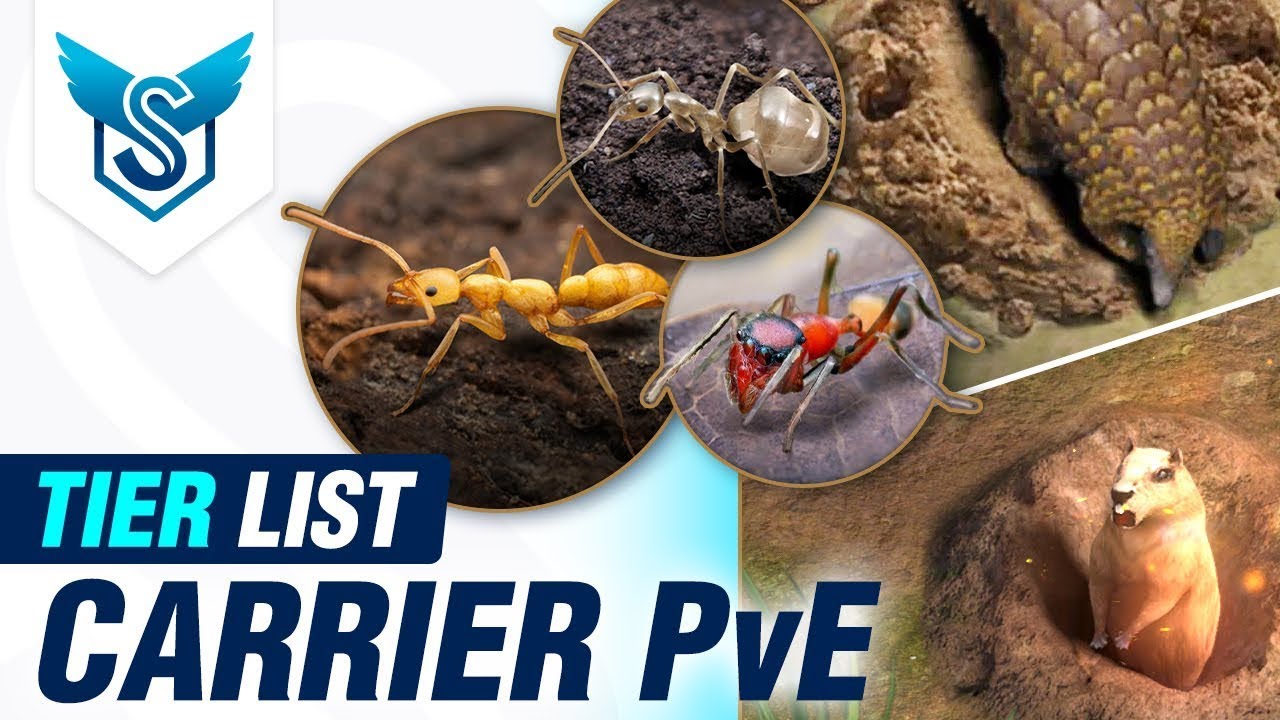 Carrier PvE Tier List for Groundhog and Pangolin - The Ants ...