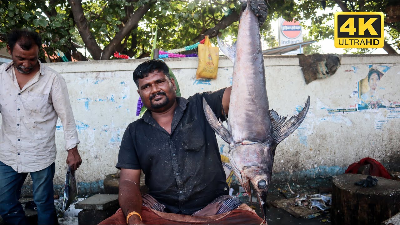 BIG PANI KOLA FISH CUTTING🐟 IN KASIMEDU FISH MARKET | BIG FISH CUTTING🔪 ...