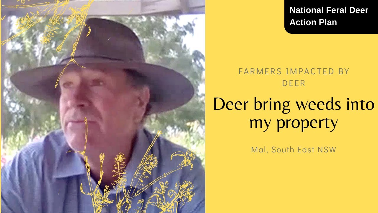 Farmers Impacted by Deer: Mal from South East NSW - YouTube