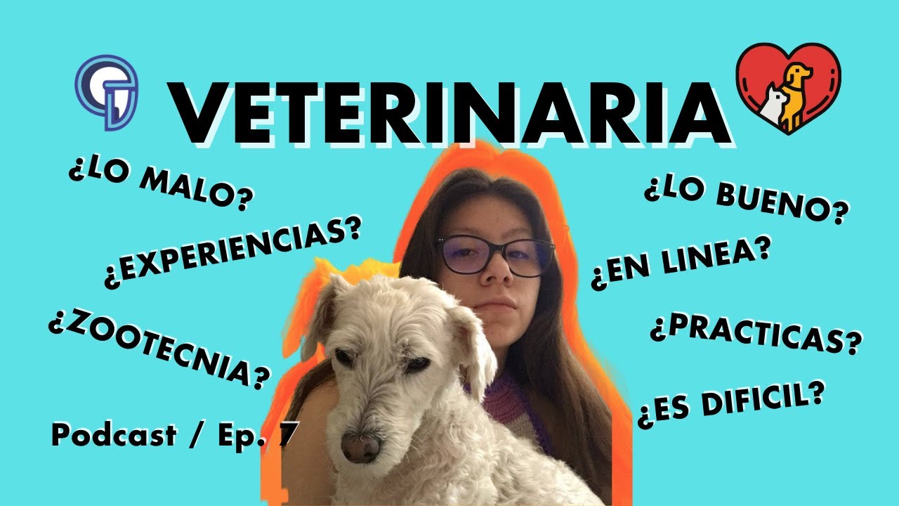 ¿Cómo es estudiar VETERINARIA en la FAC de MEDICINA VETERINARIA y ...