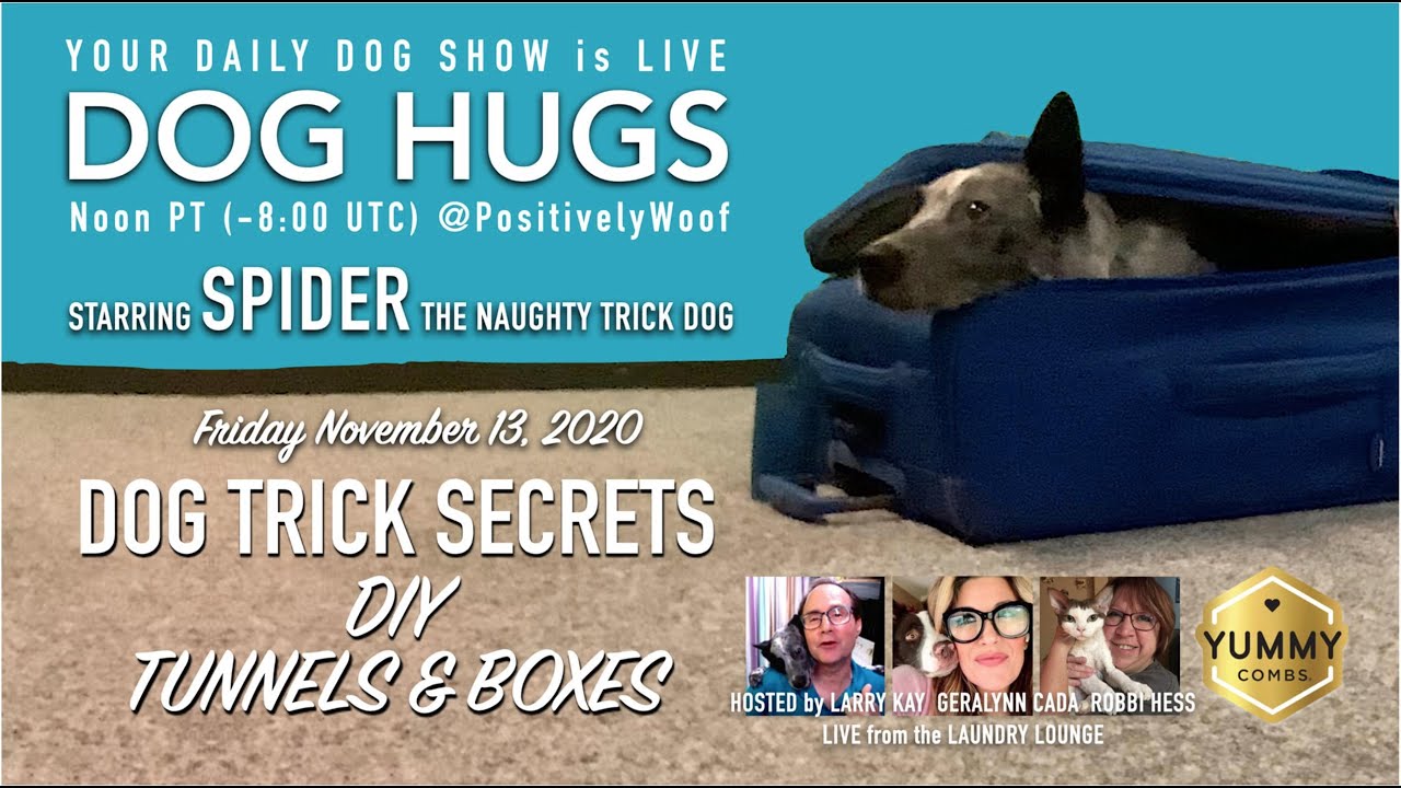 DOG HUGS 11/13/20 Dog Trick Secrets: Get in a Suitcase, Homemade ...