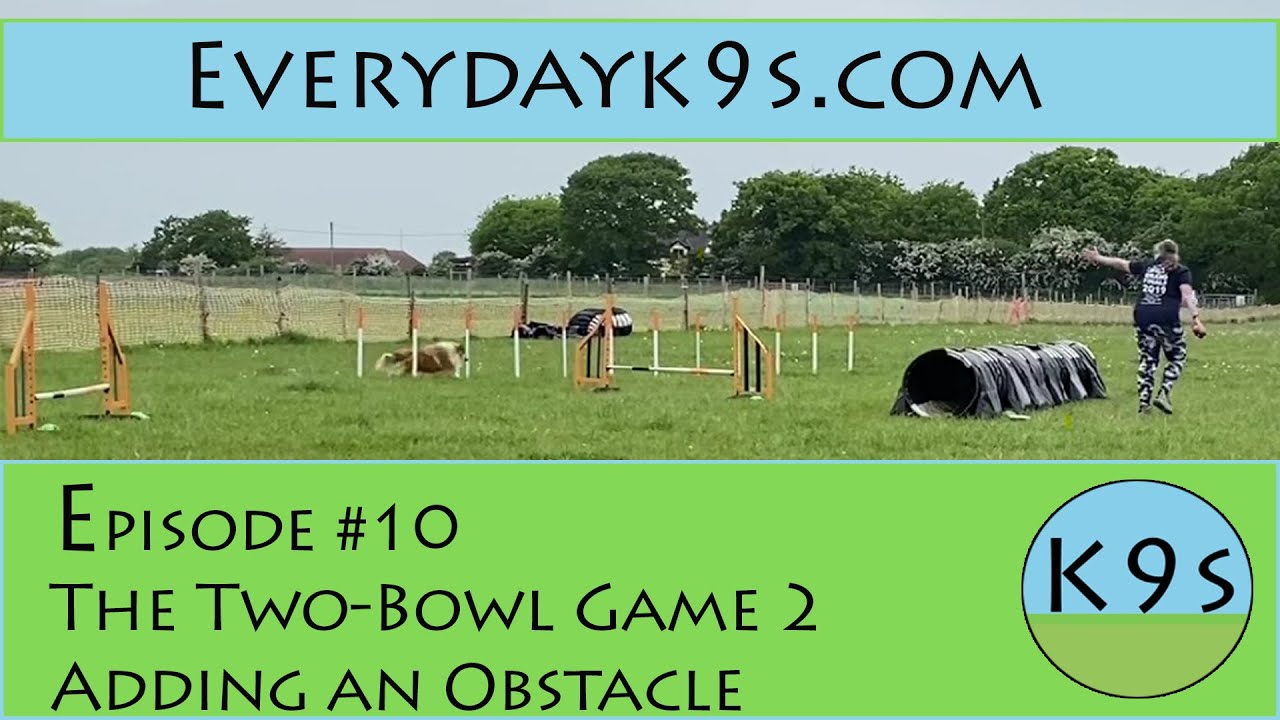 Distance Handling 101 - Foundation Skills: Episode 10 - Two Bowl Game ...