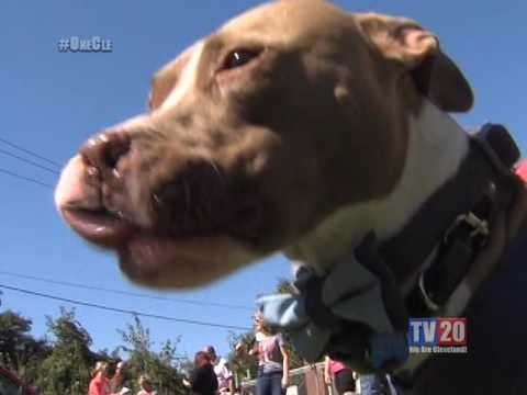 This Is How We Do It: Ed Jamison, Chief of Animal Care and Control ...