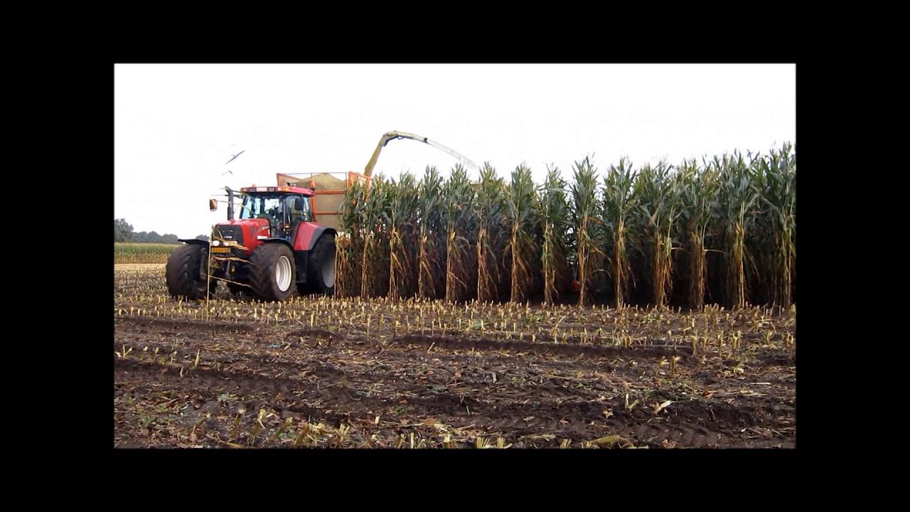 LOONBEDRIJF ROVERS BOEKEL MAISOOGST 2014, CLAAS JAGUAR 890, CASE PUMA ...