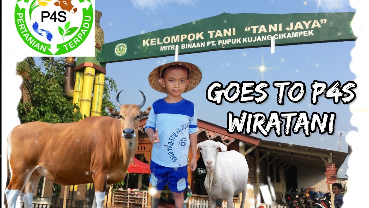 GOES TO P4S WIRATANI | KARAWANG - YouTube