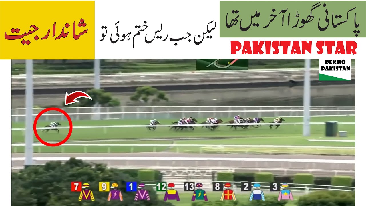 Craziest Horse Race by Pakistani Horse | Pakistan Star | From last to ...