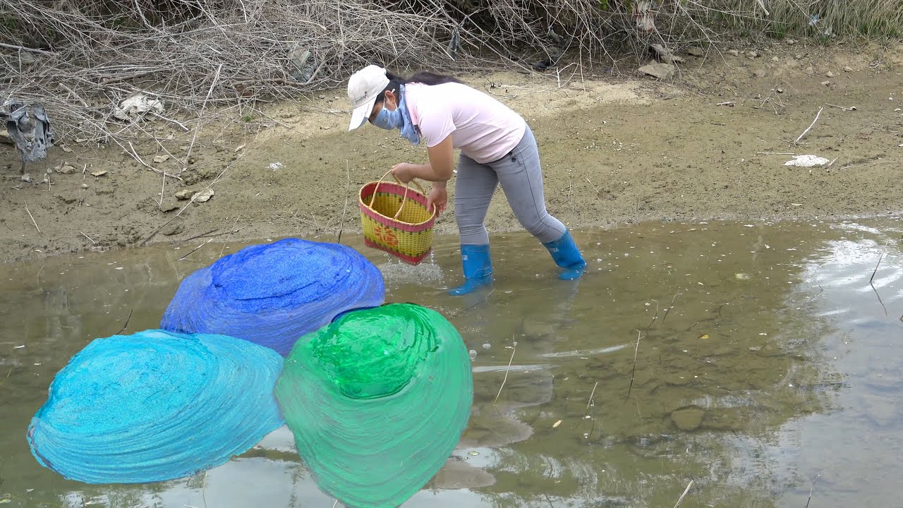 😱The beautiful woman found a mutated giant clam in the river ...