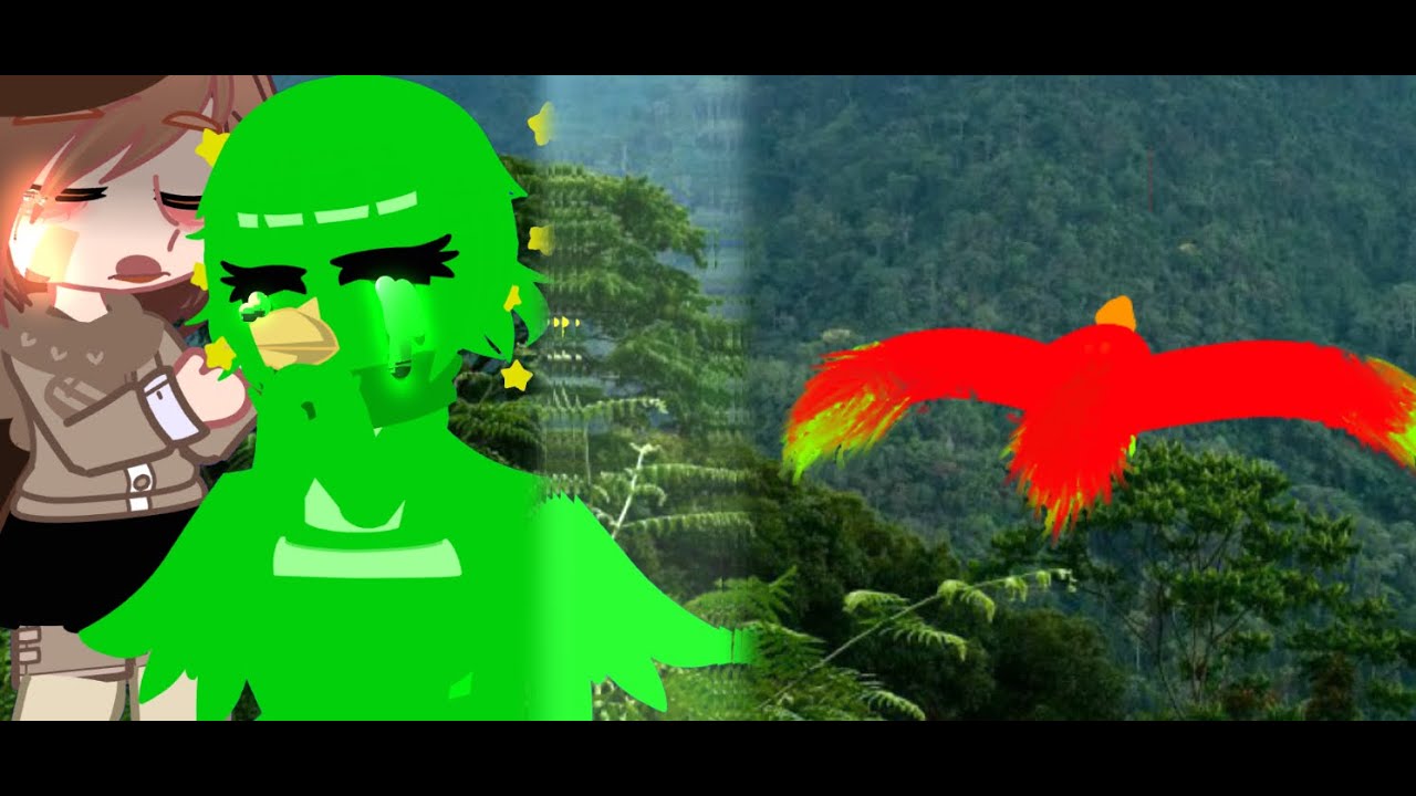 What about the plans we made? | Jungle Freaks | Gacha Club Edit ...