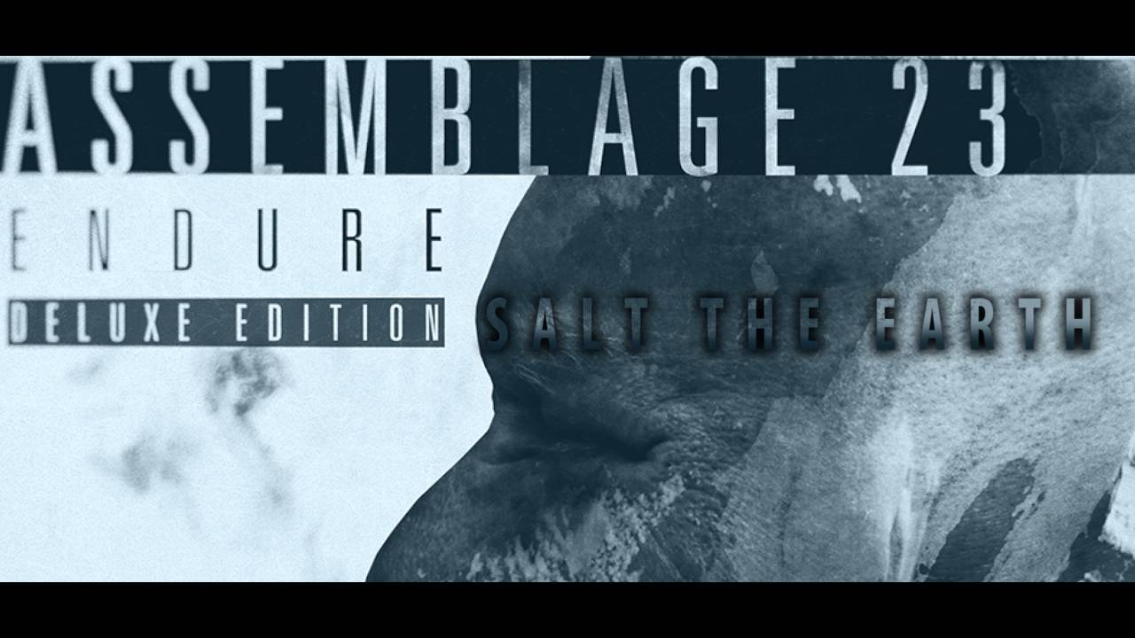 Assemblage 23 - Endure Deluxe Edition (Full Album) - YouTube