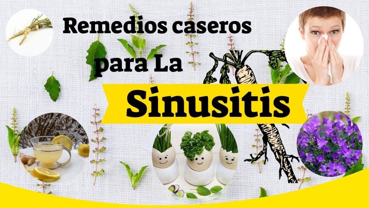 💖 Remedios sencillos para la Sinusitis - YouTube