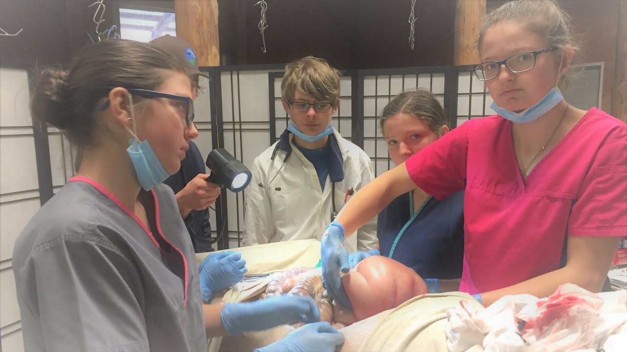 Off Grid Surgery - YouTube