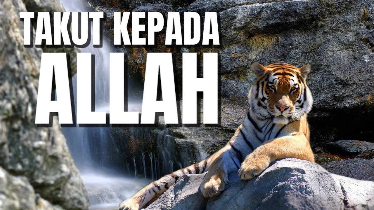 Takutlah Kepada Allah , Janganlah Takut Kepada Makhluk - Bag II - YouTube