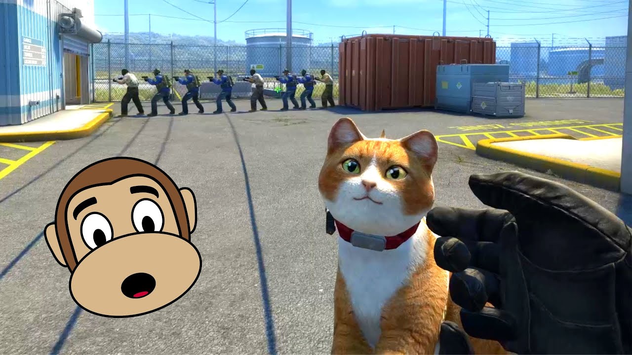 Fluffy cat hurts in CS GO - YouTube