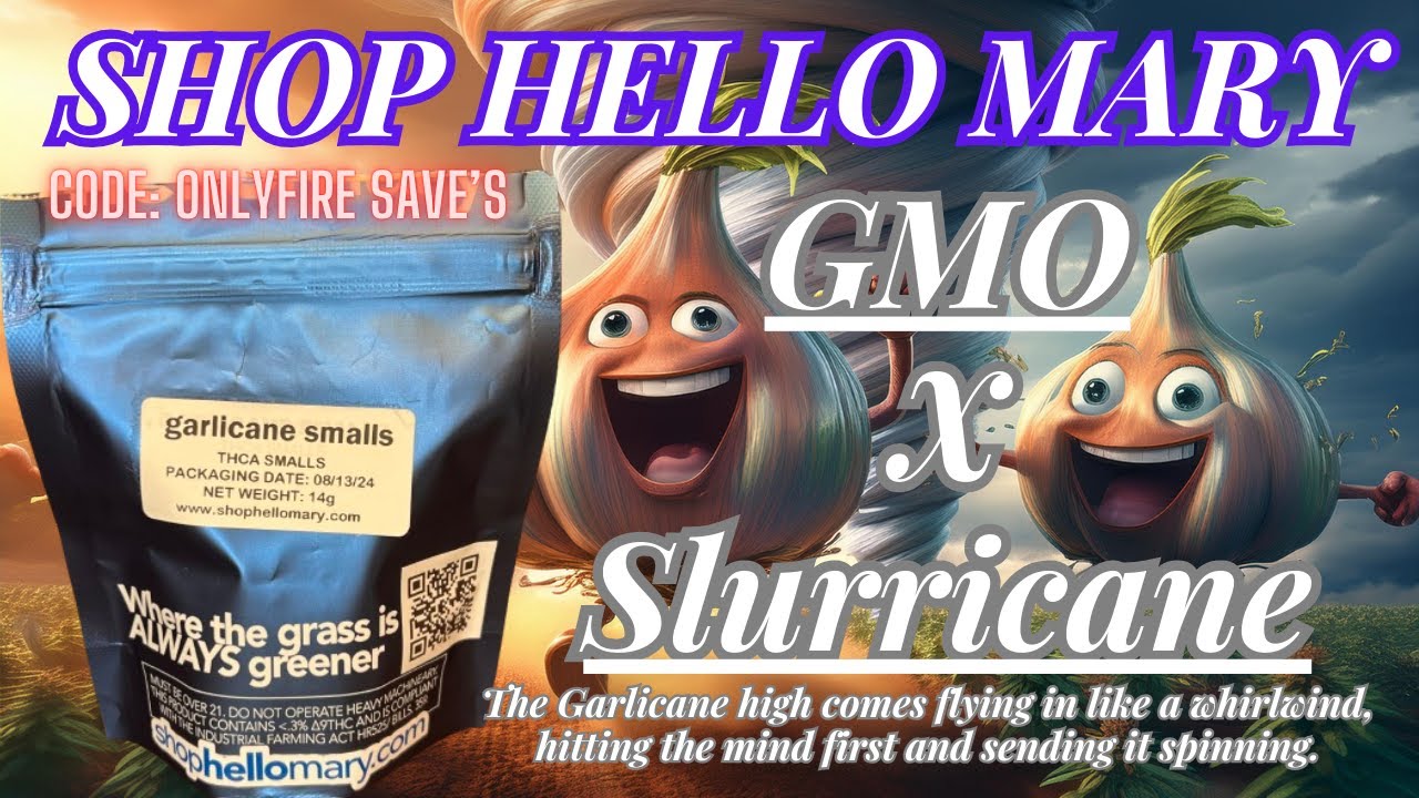 Trying Shop Hello Mary Garlicane Smalls THCa Review - YouTube