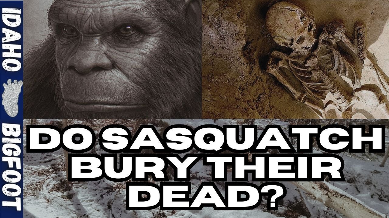 Discussion: Do Sasquatch Bury Their Dead? | Idaho Bigfoot Ep. 22 - YouTube
