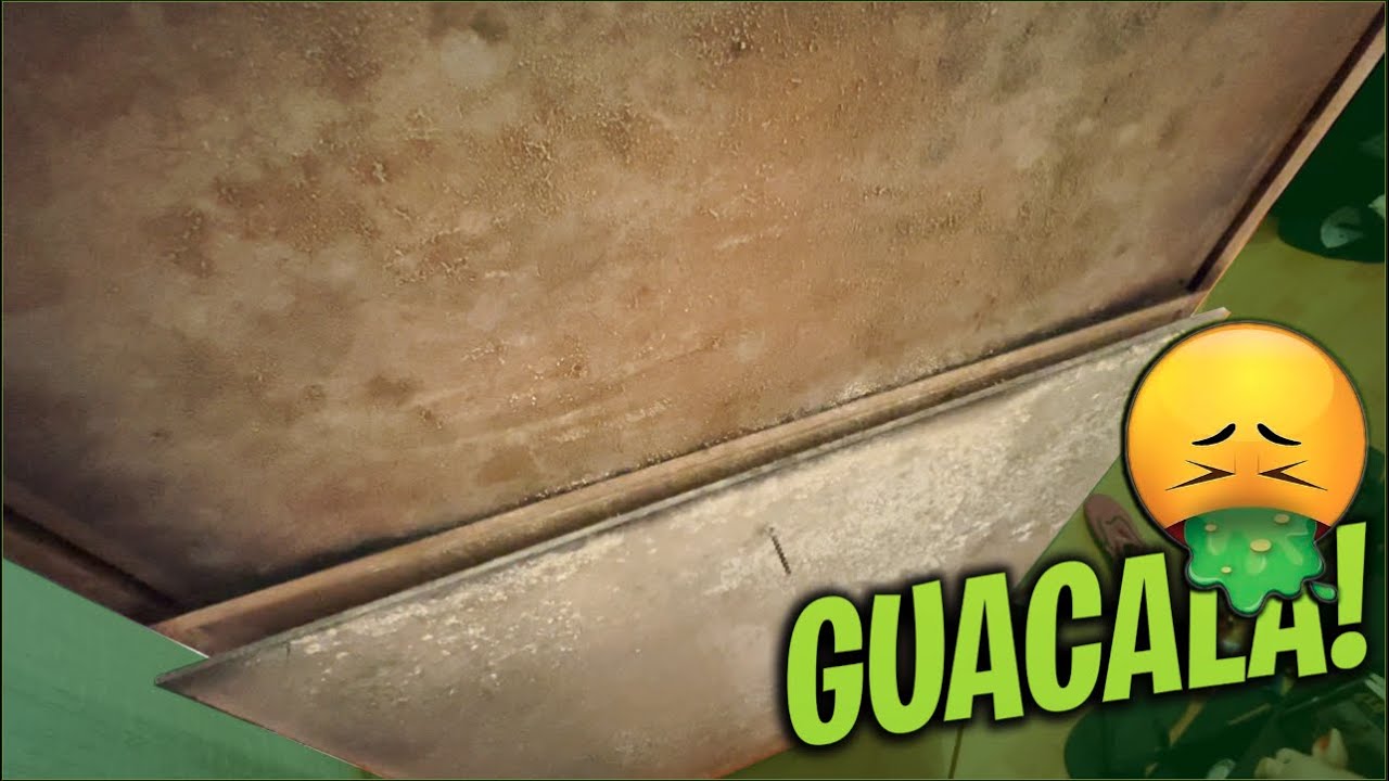 GUACALA 🤮 | PANCHO RU VLOG #2 - YouTube