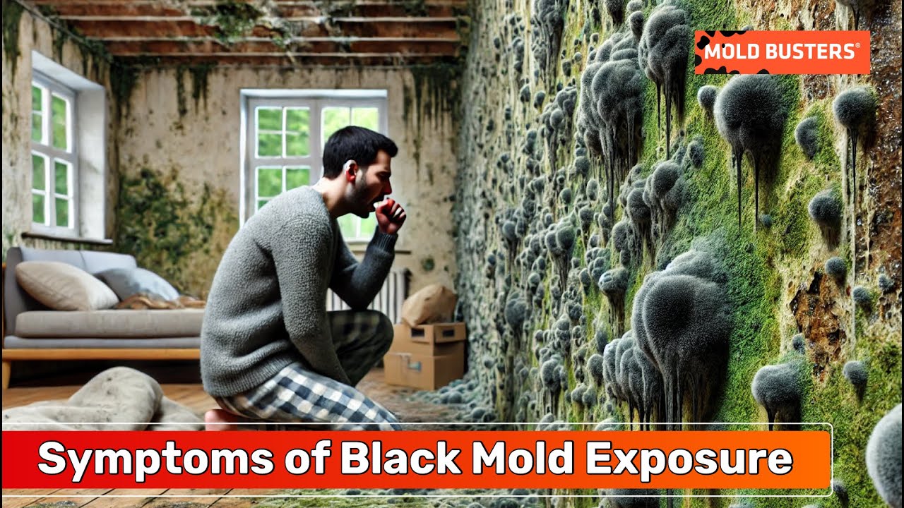 Is Your Home Making You Sick? Discover the Symptoms of Black Mold ...