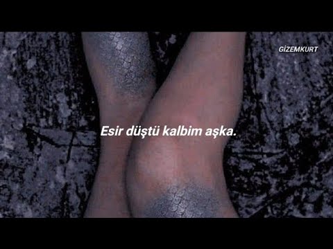 Ashley Serena - My Jolly Sailor Bold (Türkçe Çeviri) |eski çeviriler @sapphirevibes