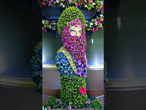 çiçek olduuuuuuum 🌹🌹🌹🌹🌹🌹🌷🌷🌷🌷