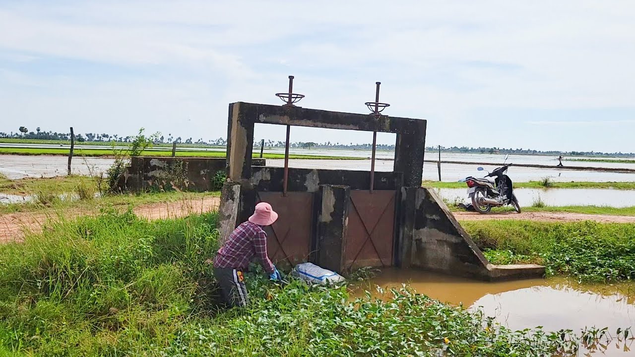 Blocked Drain Culvert Drain Deep Water Remove Water spinach - YouTube