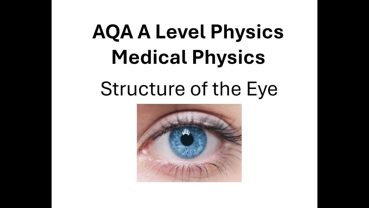 AQA A Level Physics: Medical Physics: The Structure of the Eye - YouTube