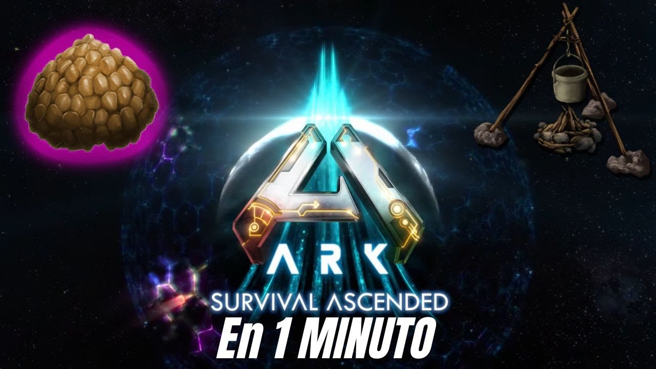 ASA en 1 MINUTO. Como cocinar el kibble superior. - YouTube