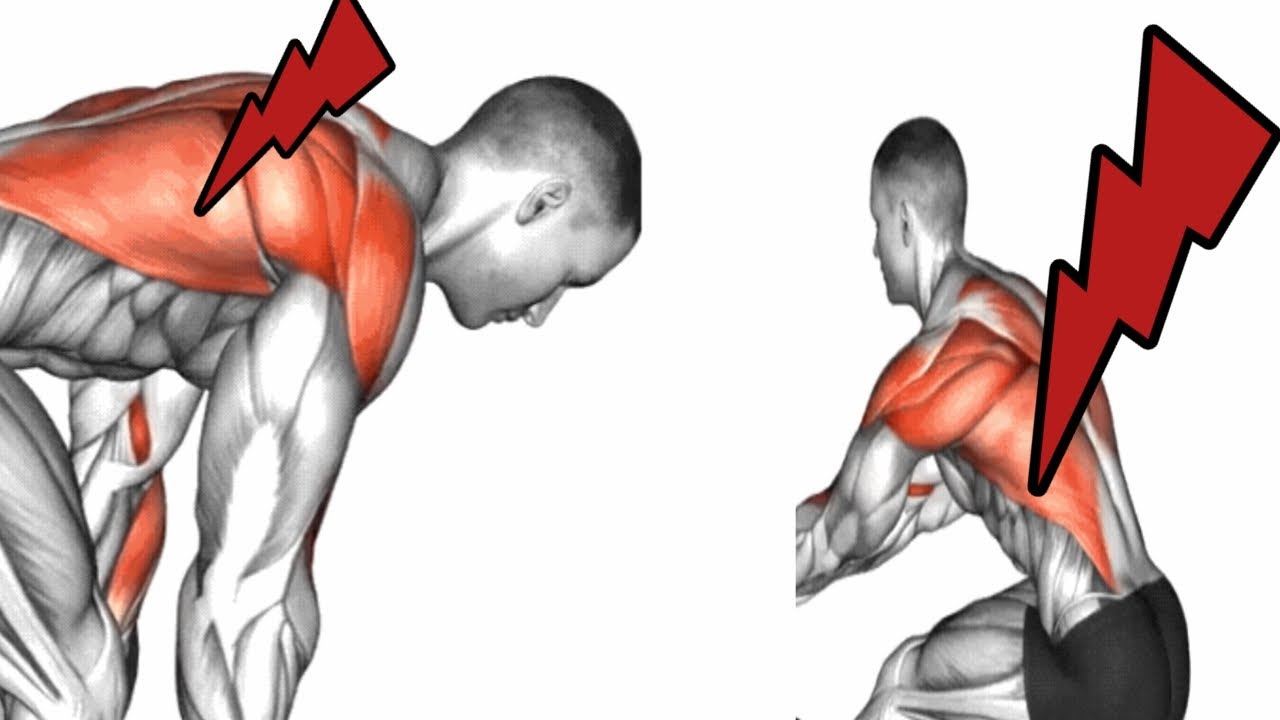 How to do back growth exercises||Bigger back workout||Lats workout with ...