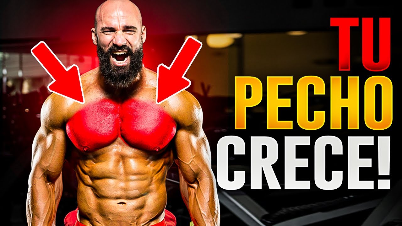 Entrenamiento De Pecho Para Hombres En El Gimnasio Youtube