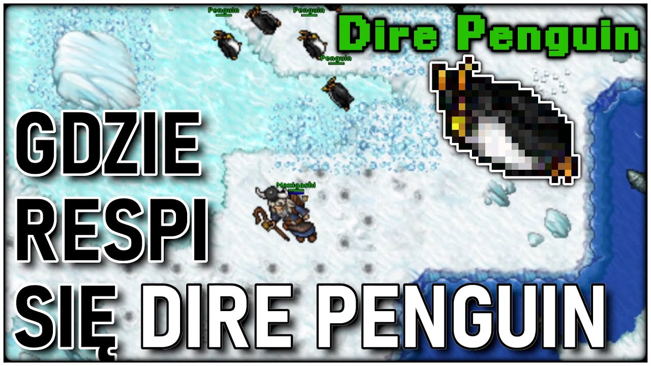 GDZIE RESPI SIĘ DIRE PENGUIN - TIBIA - PORADNIK - YouTube