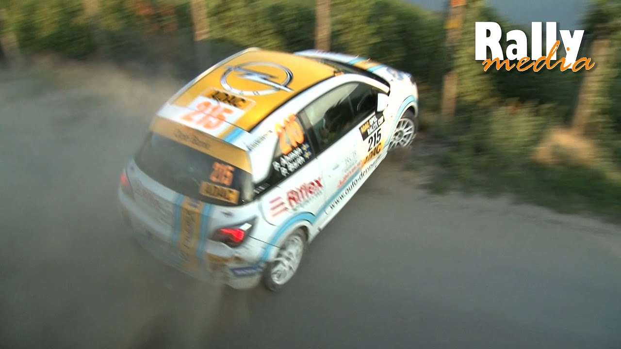 Oops at Moselland! - WRC Rallye Deutschland 2015 - Best of by ...