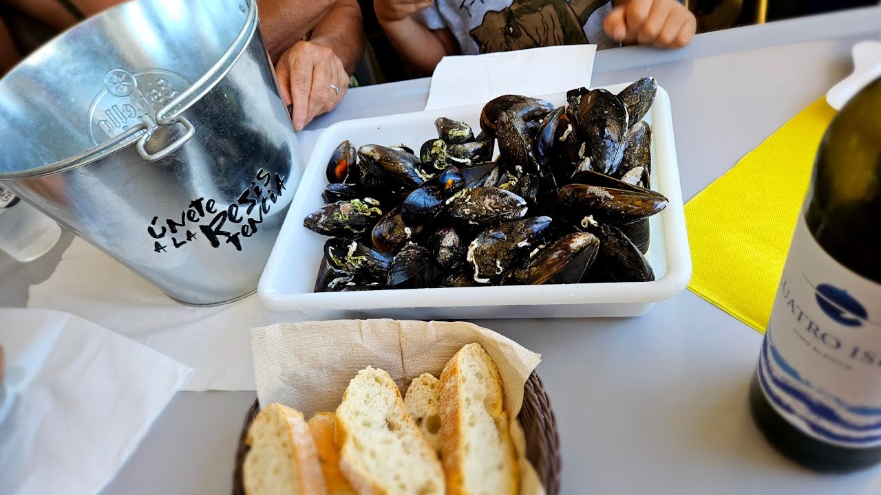 Tour of the Mussel Farms in Vigo Spain July 2024. Don't miss it. - YouTube