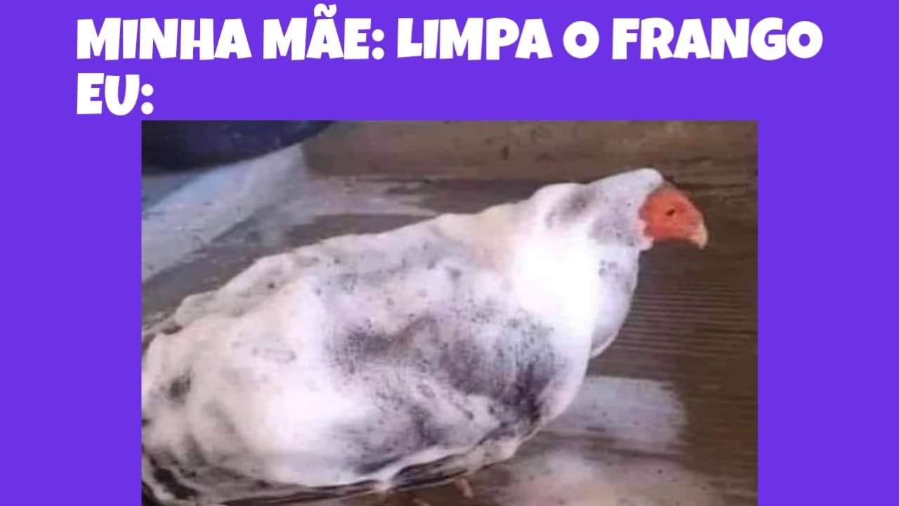 MELHORES MEMES EM IMAGENS - EU LIMPANDO O FRANGO - YouTube