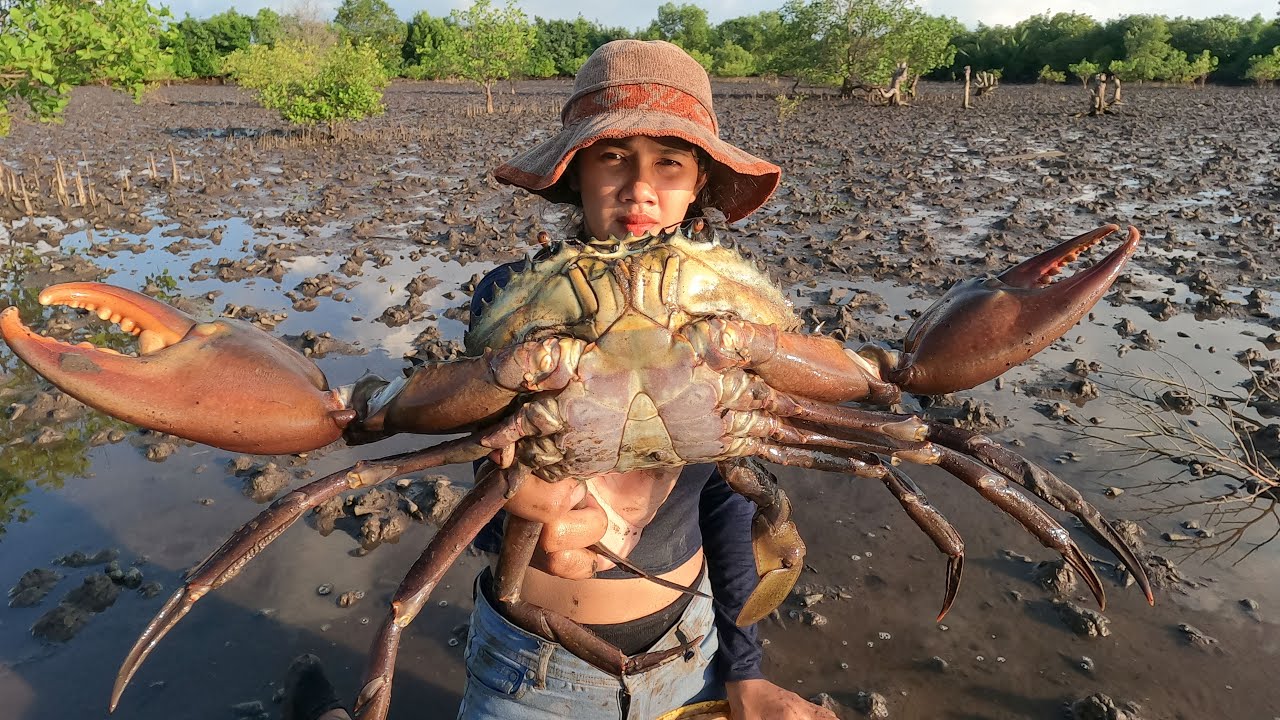 Lucky Day - I Caught Giant Mud Crabs at The Sea Swamp after Water Low ...