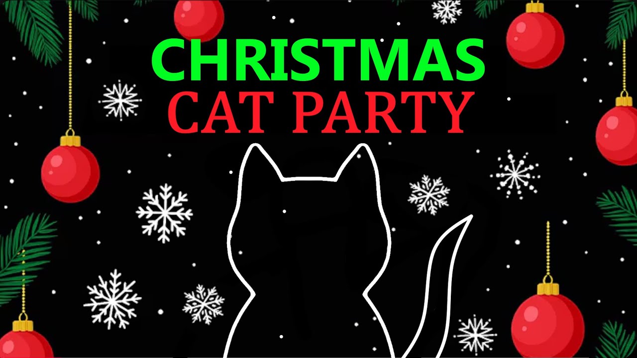 Immersive Interactive Warm-up Christmas CAT Mischief! - YouTube