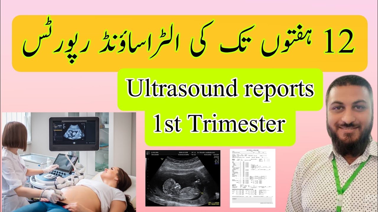ultrasound 1st trimester | Sonography 12 wks | normal fwb reports - YouTube