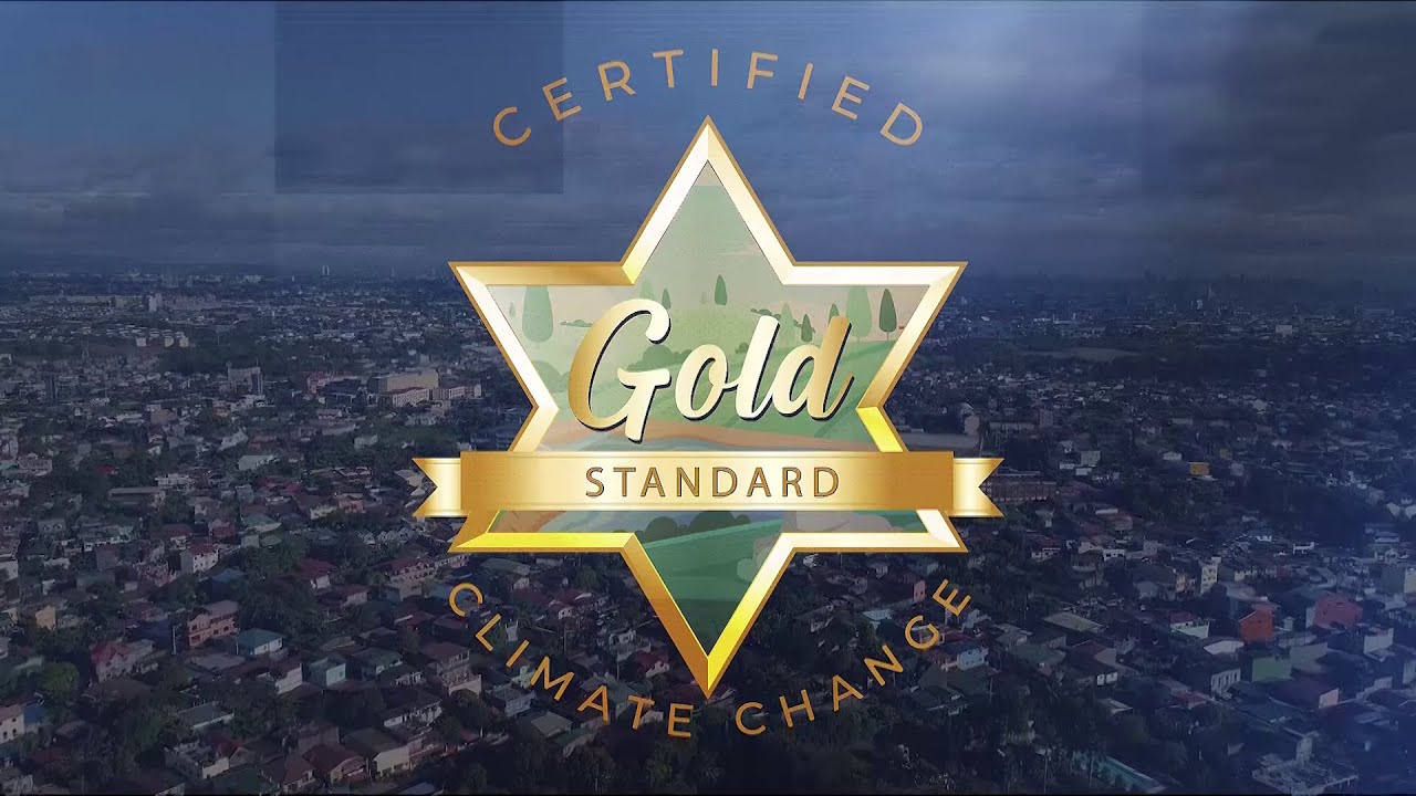 GOLD STANDARD INTRODUCTION - YouTube