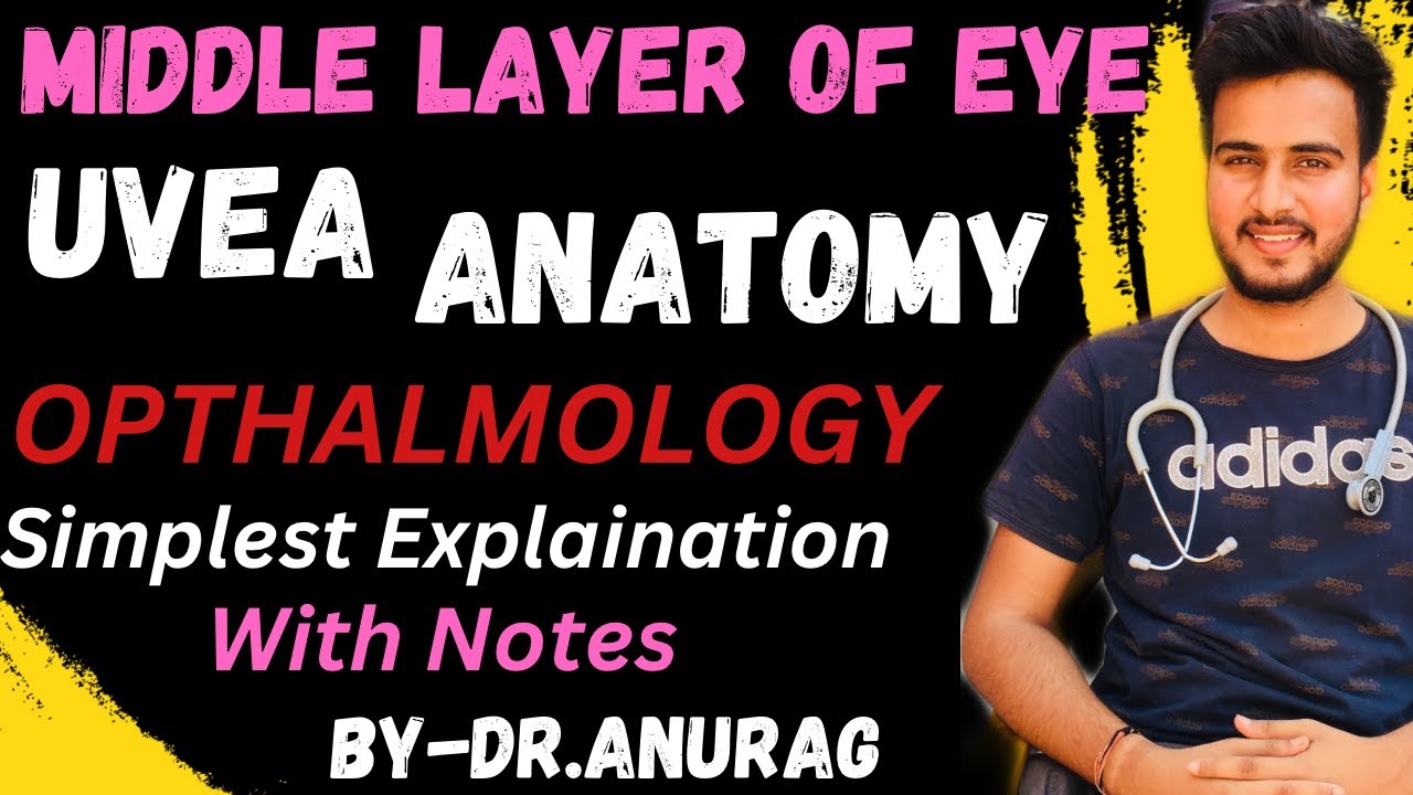 Middle Layer of eye ball //UVEA ANATOMY//Opthalmology Lectures - YouTube