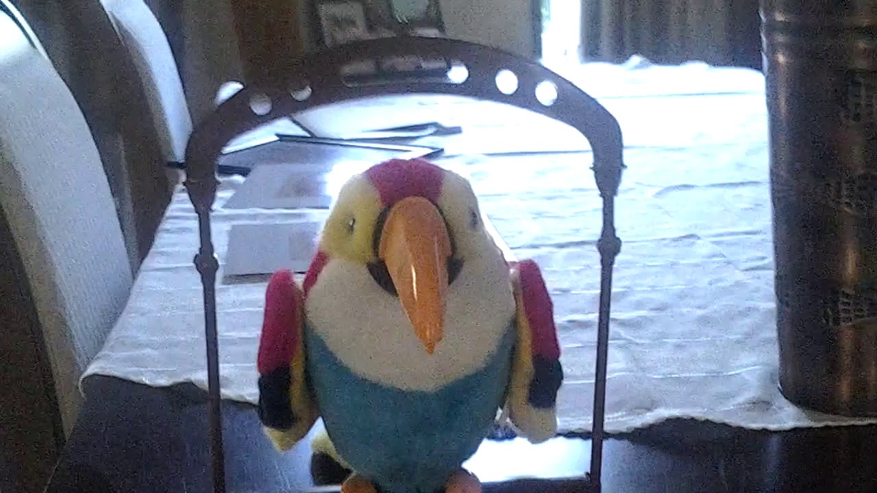 My talking toucan back In cracker barrel 1-6-2018 - YouTube