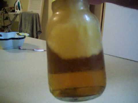 Snap Freezing - YouTube