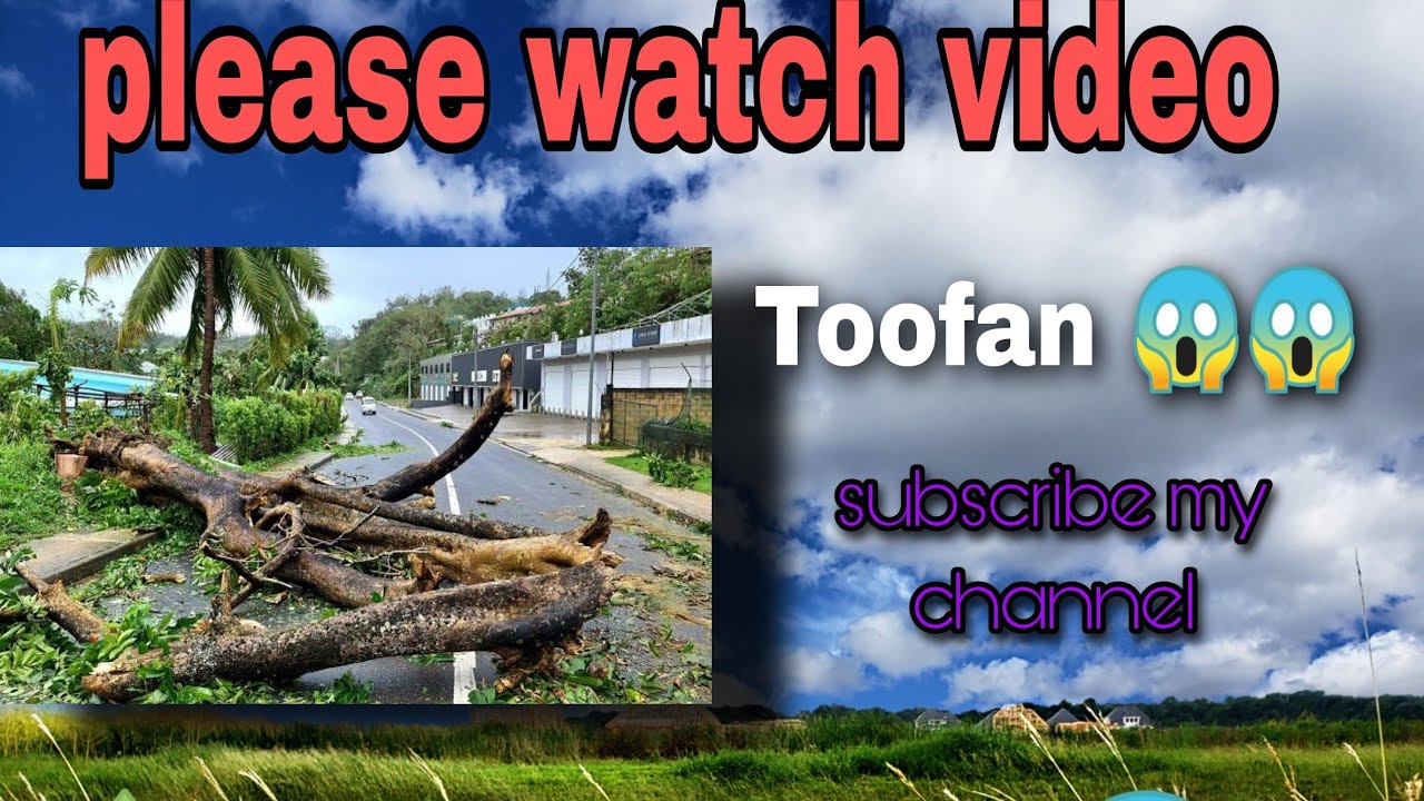 Toofan aane se tree ukhad gye (tej Hawaii chalne se tree road per aaye ...