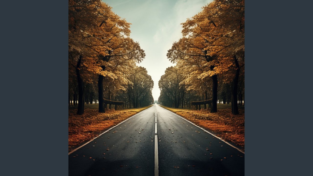 Tranquil Meditation in Soothing Vibes - YouTube